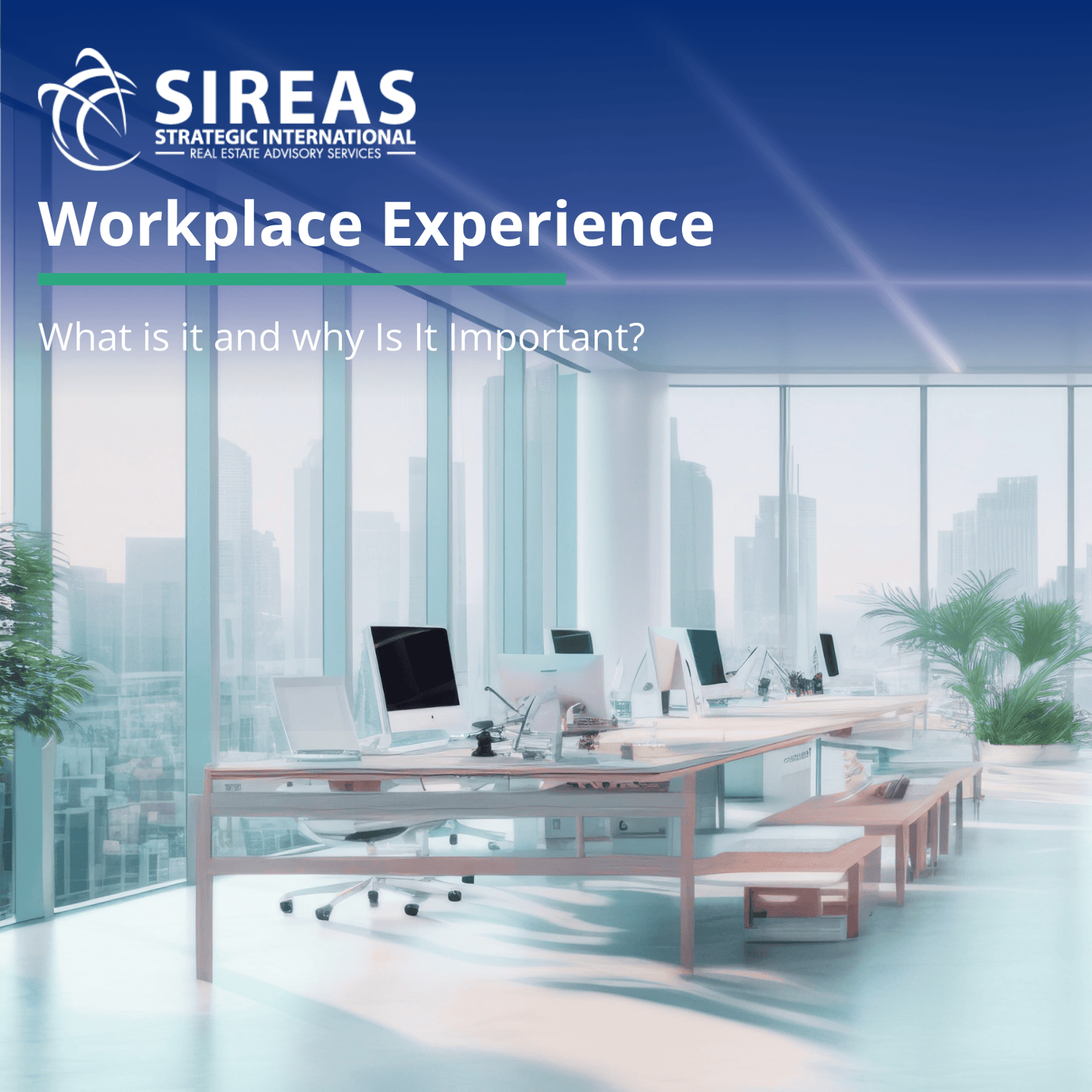What Is Workplace Experience and Why Does It Matter? | SIREAS ...